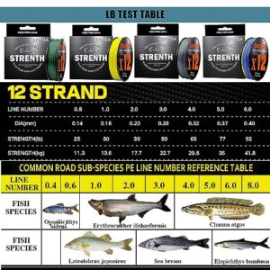 X12 Super Strong 12 Strands Braided Fishing Line 500M Multifilament PE Line Saltwater Fishing Tackle