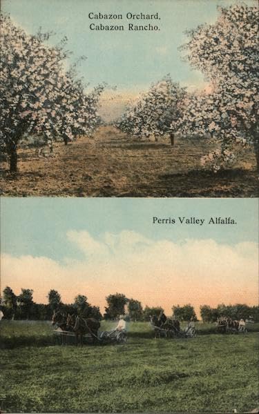 Cabazon Orchard, Cabazon Rancho, Perris Valley Alfalfa Cabazon, California CA Original Antique Postcard