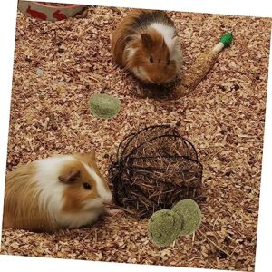 POPETPOP 16 pcs Hamster chew Toy Gerbil Toys Hedgehog Accessories Critter cage Timothy Grass Rabbit chew Small Animal Guinea Pig Toys Bunny Toys Hamster Treat Kitten Snack Fish Tank Alfalfa