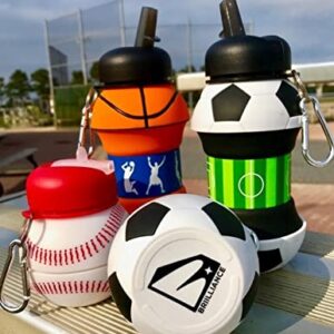 8 Ball Water Bottle - Collapsible Silicone Durable Handheld H2O Wide Mouth Black Sports Billiards Ball Container holds 19oz