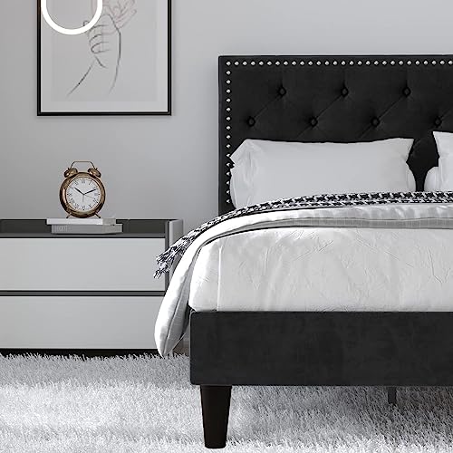 Catrimown Queen Bed Frame, Velvet Upholstered Bed Frame with Adjustable Button Tufted & Nailhead Trim Headboard, Wooden Slat Support/No Box Spring Needed/Easy Assembly, Black