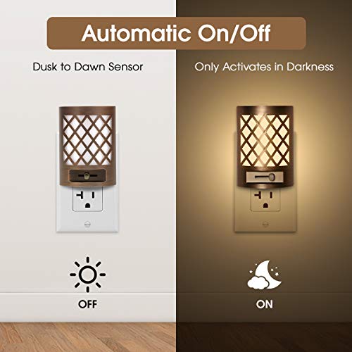 DORESshop Farmhouse Night Light Plug in, Dimmable LED Dusk to Dawn Sensor Night Light, Adjustable Brightness 110V, Soft White 3000K for Bedroom, Hallway, Nursery