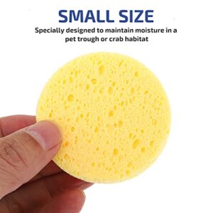 POPETPOP Saddle Evergreen Pet Supplies 25Pcs Round Hermit Crab Sponges Portable Water Dish Crab Sponge Crab Tank Humidity Supplies for Pet Hermit (Yellow) 60x80CM Sea Sponge Crab