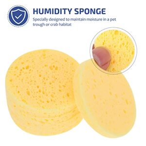 POPETPOP Saddle Evergreen Pet Supplies 25Pcs Round Hermit Crab Sponges Portable Water Dish Crab Sponge Crab Tank Humidity Supplies for Pet Hermit (Yellow) 60x80CM Sea Sponge Crab