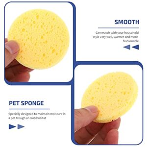 POPETPOP Saddle Evergreen Pet Supplies 25Pcs Round Hermit Crab Sponges Portable Water Dish Crab Sponge Crab Tank Humidity Supplies for Pet Hermit (Yellow) 60x80CM Sea Sponge Crab