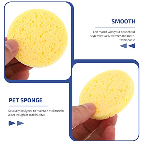 POPETPOP Saddle Evergreen Pet Supplies 25Pcs Round Hermit Crab Sponges Portable Water Dish Crab Sponge Crab Tank Humidity Supplies for Pet Hermit (Yellow) 60x80CM Sea Sponge Crab