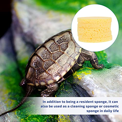 POPETPOP Saddle Evergreen Pet Supplies 25Pcs Round Hermit Crab Sponges Portable Water Dish Crab Sponge Crab Tank Humidity Supplies for Pet Hermit (Yellow) 60x80CM Sea Sponge Crab