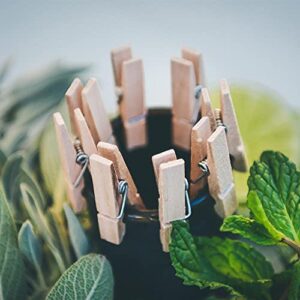 All-Natural, Wooden 1.5-Inch Mini Cocktail Garnish Clothespins, Package of 100 Count