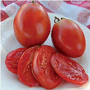 amish paste tomato seeds (20+ seeds) | non gmo | vegetable fruit herb flower seeds for planting | home garden greenhouse pack