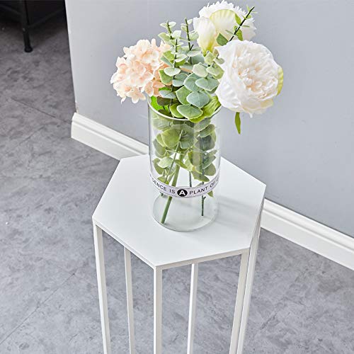 Mxfurhawa 27.55in Set of 3 Metal Plant Stand White Nesting Display End Table High Hexagon Rack Indoor Flower Holder Corner Planter Pot Rack Living Room & Patio Decor H19/23/27 Hexgon White