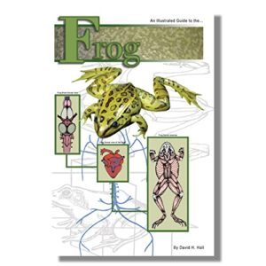 anatomy lab soft cover frog dissection guide book