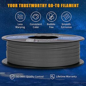 PLA+ 3D Printer Filament 1.75mm, SUNLU PLA Filament PRO, Dimensional Accuracy +/- 0.02 mm, 1 kg Spool, 1.75 PLA Plus, Grey+Blue