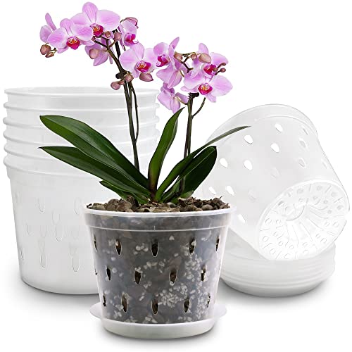 Kitypartsy 8 Pack 7 inch Orchid Pots with Holes and Saucers Clear Plastic Orchid Pots