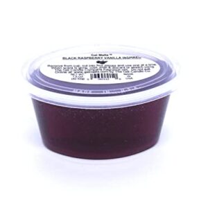 3 Pack of Sweet BLACK RASPBERRY VANILLA inspired aroma Long Lasting Gel Melts™ gel wax for Warmers and Burners PEEL, MELT, ENJOY