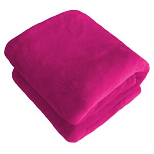 iMaylex Soft Puppy Flannel Fleece Blanket for Pet Dog Cat, Plush Microfiber, Cozy and Lightweight, Fuchsia, Pet, 27 x 39 inch (70 x 100 cm)