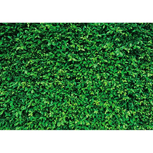 GiuMsi 7x5ft Polyester Greenery Leaves Photography Backdrop Grass Spring Natural Outdoorsy Supplies for Birthday Wedding Baby Shower Party Decorations Background Portrait Photo Booth