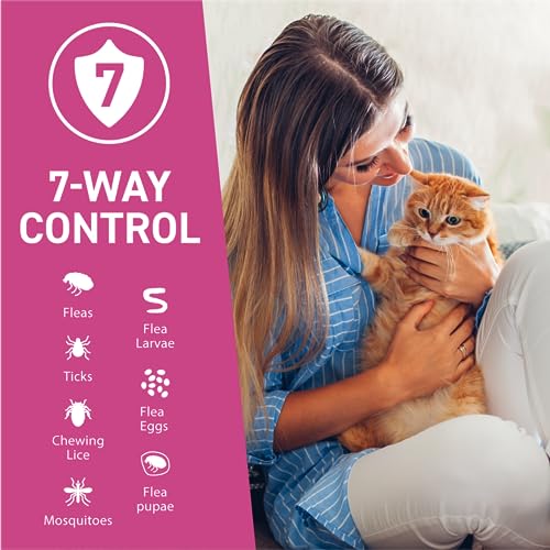 NEXTSTAR Flea and Tick Prevention for Cats, Fast Acting Topical Treatment & Control, Waterproof Drops, Small Cat and Kitten Over 3.5 lbs - 3 Month Supply