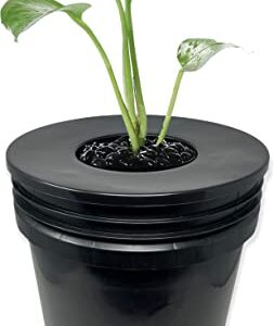 6 in. Wide Lip Bucket Basket (Pack of 6) | 5 Gallon Bucket Lids for DWC, Net Pots for Hydroponics + Twin Canaries Chart