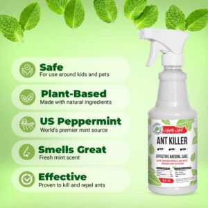 Mighty Mint - 16oz Natural Peppermint Oil Ant Killer and Repellent Spray - Safe for Indoor/Outdoor Use