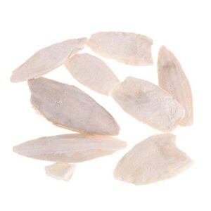 zonster 1 bag cuttlebone cuttlefish sepia bone cuttle fish bird food calcium pickstone parrot birds teeth grind training