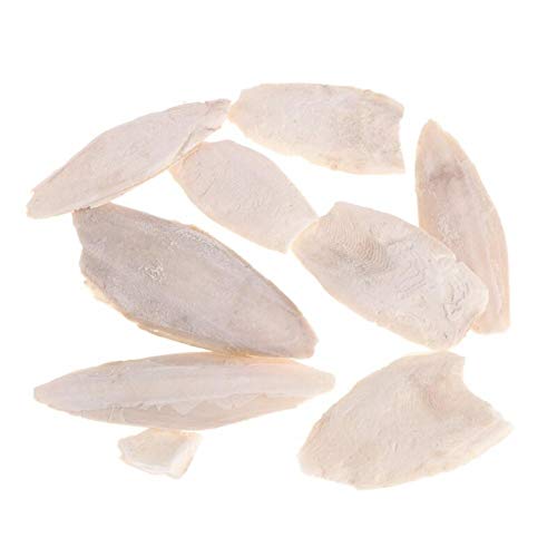 Zonster 1 Bag Cuttlebone Cuttlefish Sepia Bone Cuttle Fish Bird Food Calcium Pickstone Parrot Birds Teeth Grind Training