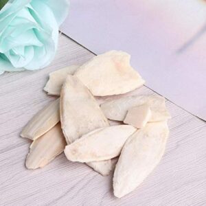 Zonster 1 Bag Cuttlebone Cuttlefish Sepia Bone Cuttle Fish Bird Food Calcium Pickstone Parrot Birds Teeth Grind Training