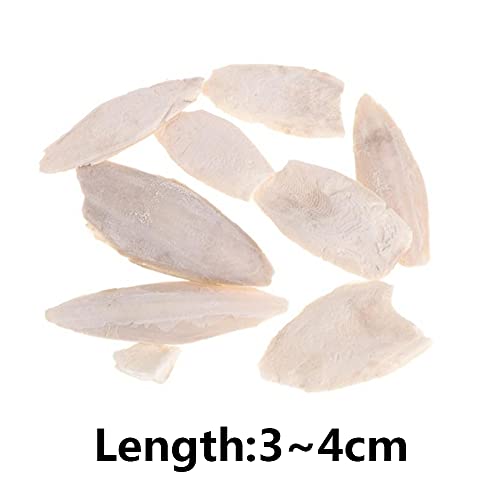 Zonster 1 Bag Cuttlebone Cuttlefish Sepia Bone Cuttle Fish Bird Food Calcium Pickstone Parrot Birds Teeth Grind Training