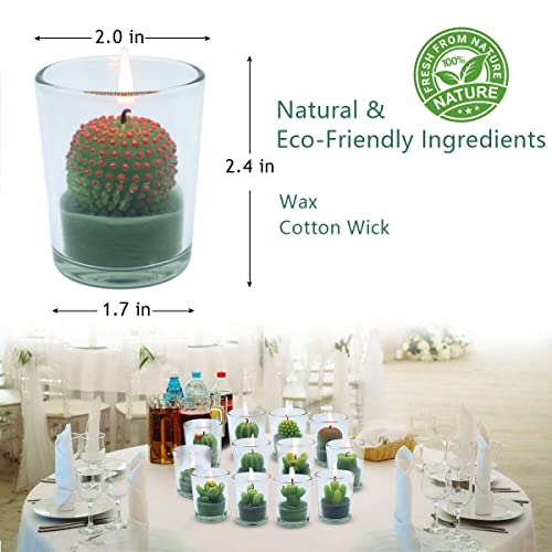 Cute Succulent Cactus Tealight Candles in Clear Glass Jar, 12Pcs Green Novelty Decorative Votive Candles for House-Warming Party Wedding Baby-Shower and Home Decoration Gifts