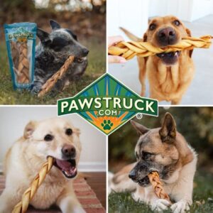 Pawstruck Natural 5-7” Beef Collagen Braids for Dogs - Healthy Long Lasting Alternative to Traditional Rawhide & Bully Sticks - Low Fat Dental Treats w/Chondroitin & Glucosamine - 5 Count