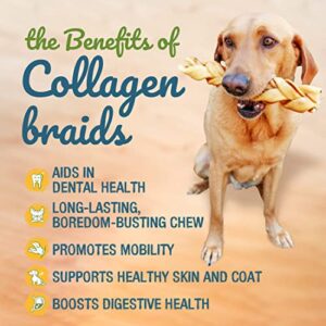 Pawstruck Natural 5-7” Beef Collagen Braids for Dogs - Healthy Long Lasting Alternative to Traditional Rawhide & Bully Sticks - Low Fat Dental Treats w/Chondroitin & Glucosamine - 5 Count