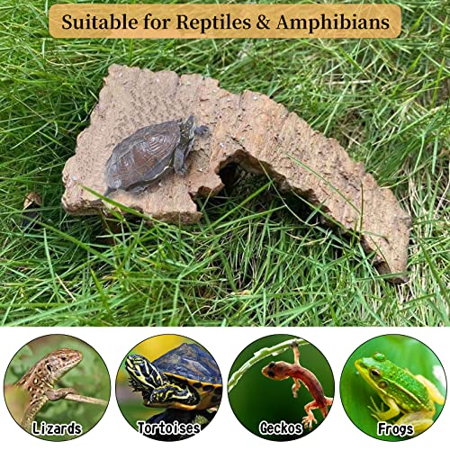 Fhiny Turtle Basking Platform, Tortoise Floating Dock Reptiles Habitat Climbing Ramp Fish Tank Turtle Resting Platform Aquarium Landscaping Decor for Small Reptile Frog Newts Terrapin