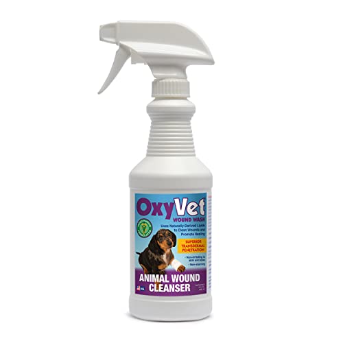 OxyVet Wound Wash for Dogs | Excellent Cleansing Agent | Non-Irritating to Skin and Eyes Wound Cleanser | Non-Staining Wound and Skin Care | 16 Fl Oz Pet First Aid Spray Bottle