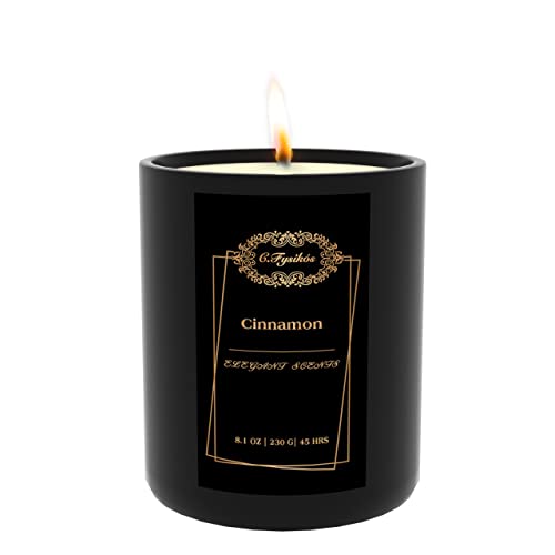 C.Fysikós Scented Candles | Soy Candles | Candles for Home Scented | Aromatherapy Candle | Long Lasting Scented Candles | Cinnamon Candle | Candles Gifts for Women | 8 oz