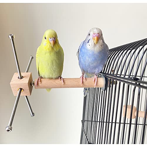 Guanlant Bird Food Holder for Cage, Bird Feeders Stand, Rotating Bird Toys with Perch, Parrot Fruits and Veggies Holder, Birds Foraging Toy, Bird Treat Sticks for Cockatiel Parakeet Conure Eclectus