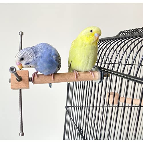 Guanlant Bird Food Holder for Cage, Bird Feeders Stand, Rotating Bird Toys with Perch, Parrot Fruits and Veggies Holder, Birds Foraging Toy, Bird Treat Sticks for Cockatiel Parakeet Conure Eclectus