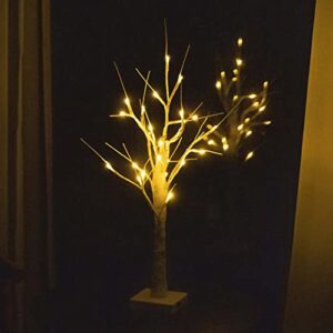 COSYWARM 2FT 24 LED Birch Tree Light, USB and Battery Powered Tabletop Tree Light, Warm White Birch Tree with Light for Home Christmas Wedding Party Decorations.