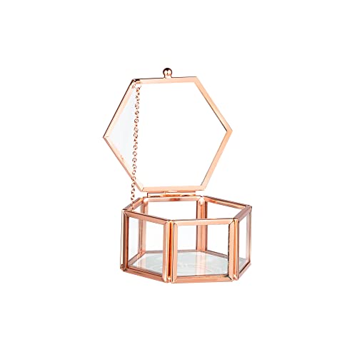 Feyarl Jewelry Trinket Glass Box Ornate Ring Earring Box Preserved Flower Glass Box Organizer Decorative Box Storage (Rose Gold)