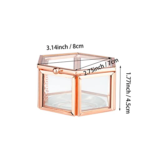 Feyarl Jewelry Trinket Glass Box Ornate Ring Earring Box Preserved Flower Glass Box Organizer Decorative Box Storage (Rose Gold)