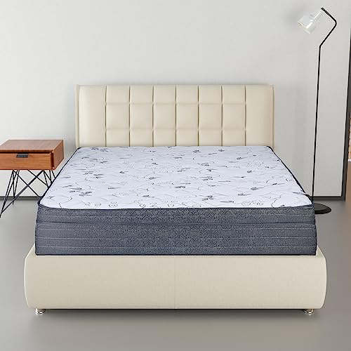 Nutan, 12-Inch Euro Top Firm Foam Encased Mattress/Orthopedic Support for A Restful Night, Queen