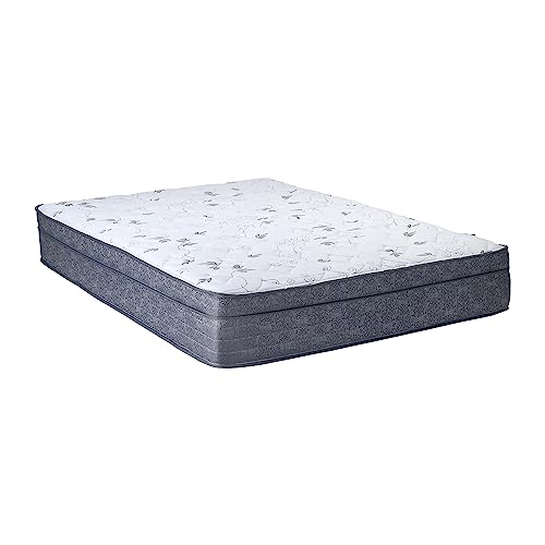 Nutan, 12-Inch Euro Top Firm Foam Encased Mattress/Orthopedic Support for A Restful Night, Queen