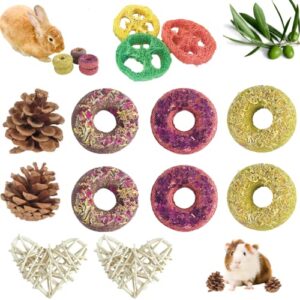 lacrima rabbit chew toys donuts 13pcs - all natural bunny toys, guinea pig toys, hamster toys, rabbit toys, intestine teeth health treats for guinea pig, rabbit, bunny, chinchilla, hamster