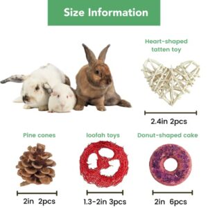 Lacrima Rabbit Chew Toys Donuts 13PCS - All Natural Bunny Toys, Guinea Pig Toys, Hamster Toys, Rabbit Toys, Intestine Teeth Health Treats for Guinea Pig, Rabbit, Bunny, Chinchilla, Hamster