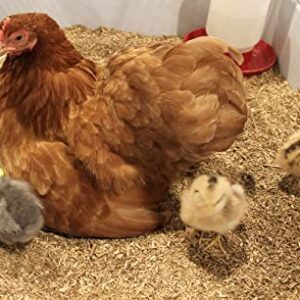 24 L Rowdy Rooster Hemp Animal Bedding