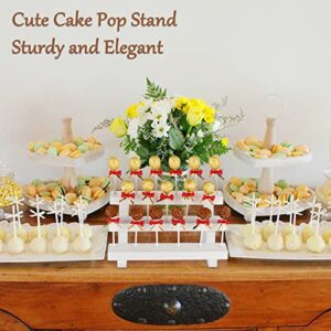 Echaprey Cake pop Lollipop Stand Wood White 3 Tier 17 Hole for Dessert Table of Wedding, Birthday Party, Christmas Day (17 Holes-3 Tier)