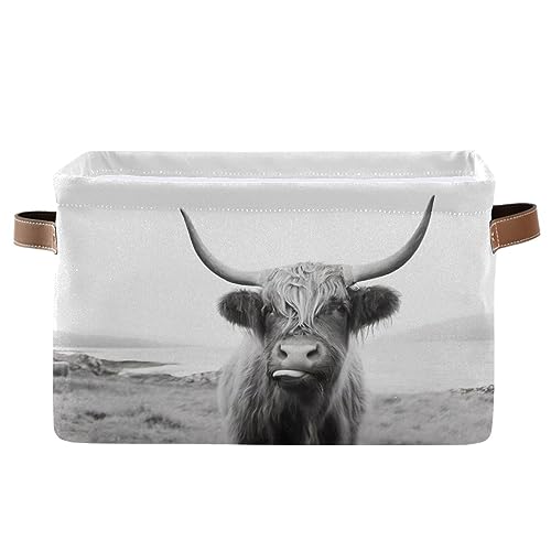 xigua Scottish Highland Cow Print Storage Bin Collapsible Canvas Storage Basket Closet Organizer with Handles for Bedroom Nursery Shelves Laundry Room, 1 Pack