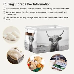 xigua Scottish Highland Cow Print Storage Bin Collapsible Canvas Storage Basket Closet Organizer with Handles for Bedroom Nursery Shelves Laundry Room, 1 Pack