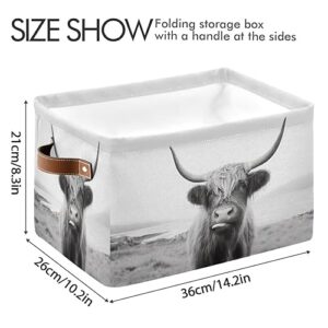 xigua Scottish Highland Cow Print Storage Bin Collapsible Canvas Storage Basket Closet Organizer with Handles for Bedroom Nursery Shelves Laundry Room, 1 Pack