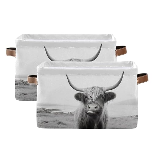 xigua Scottish Highland Cow Print Storage Bin Collapsible Canvas Storage Basket Closet Organizer with Handles for Bedroom Nursery Shelves Laundry Room, 1 Pack