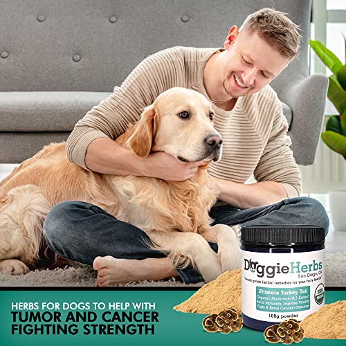 Ultimate Turkey Tail 8:1 Extract by Doggie Herbs – 389mg Beta Glucan per 1g Scoop (39%), Contains ONLY Polysaccharides – 100g