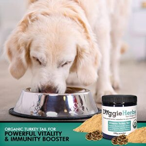 Ultimate Turkey Tail 8:1 Extract by Doggie Herbs – 389mg Beta Glucan per 1g Scoop (39%), Contains ONLY Polysaccharides – 100g